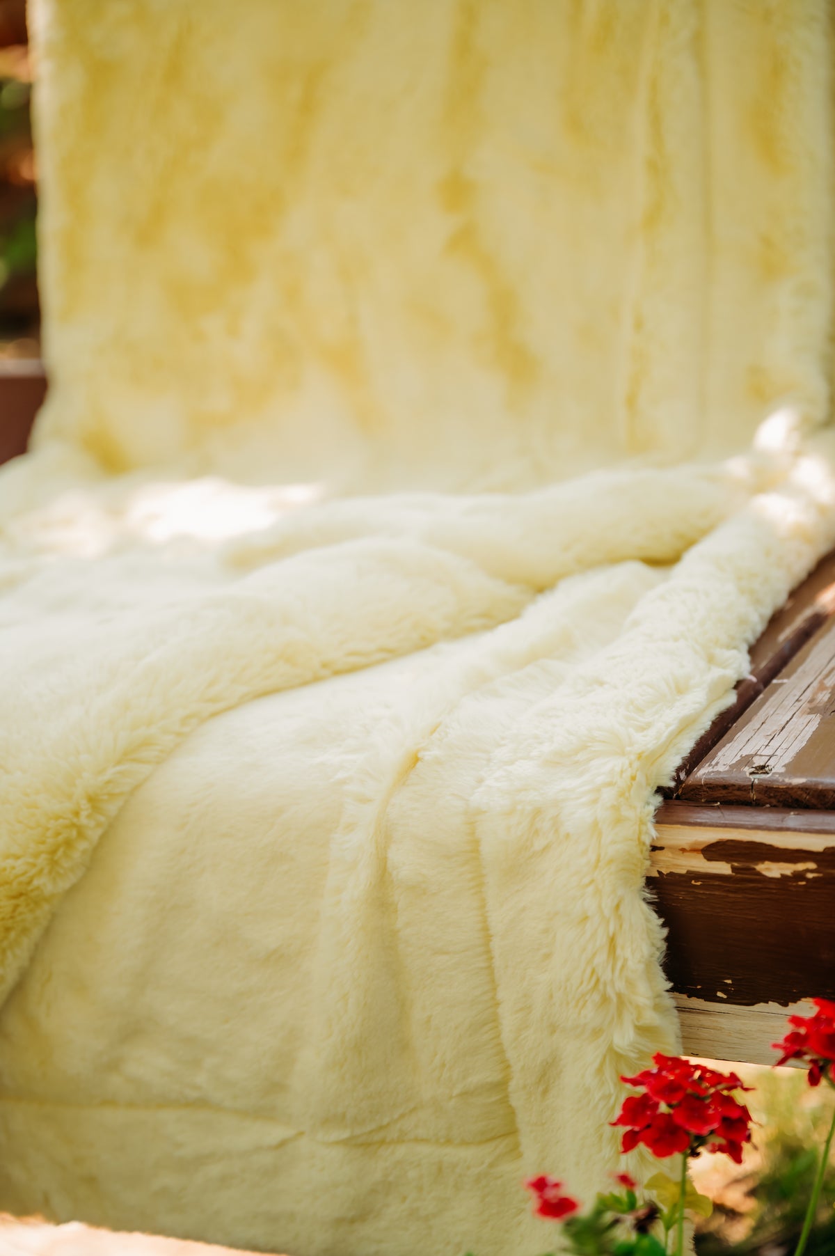 Butter Bunny - Ready to Ship – The Designer Minky Co Live Sales