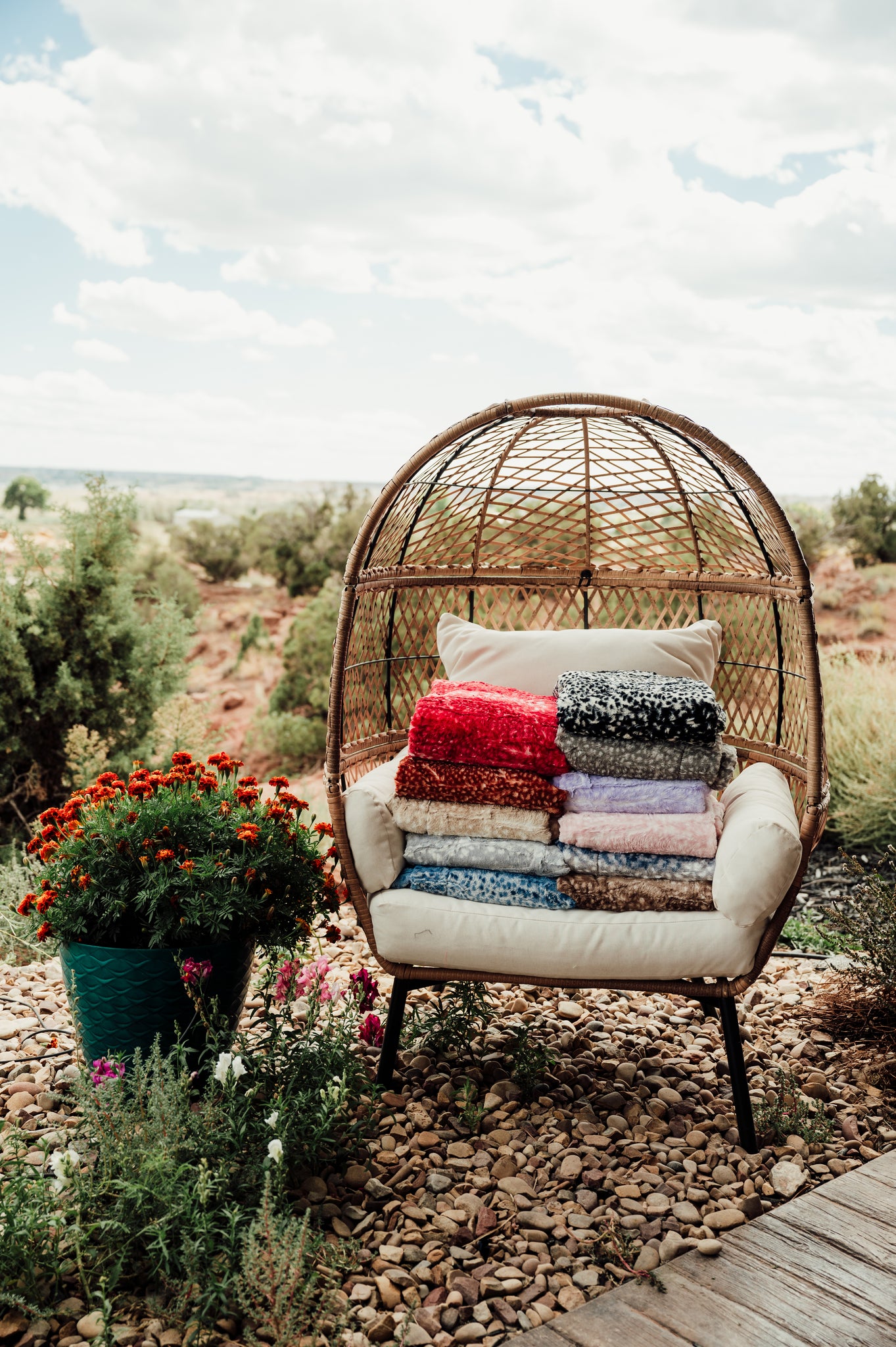 DMC Exclusive Cherry Cola Embossed Rodeo Baby Seal - Ready to Ship ...