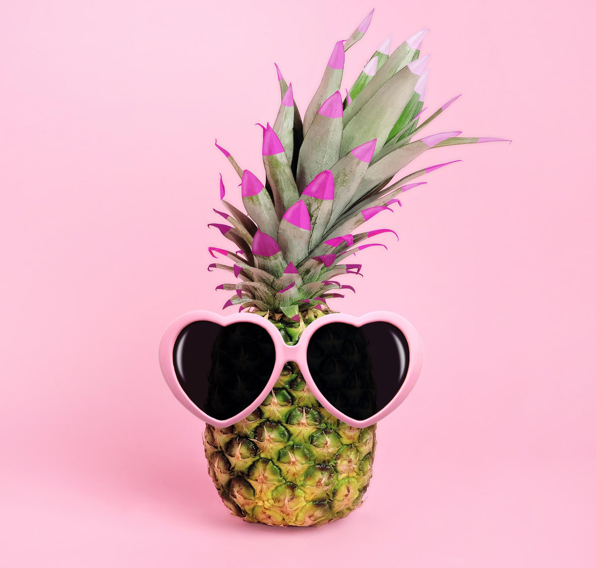 $20 Pineapple Pack – The Designer Minky Co Live Sales